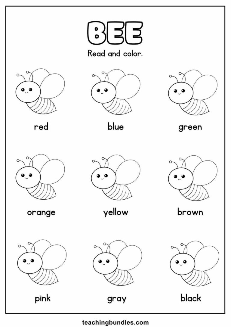 Bee Activity Pages - Teachingbundles