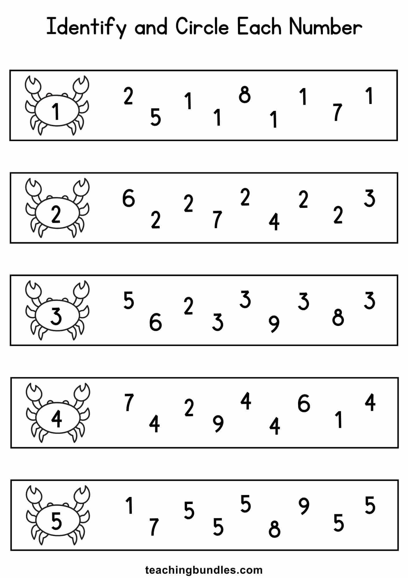 Crab Activity Pages - Teachingbundles