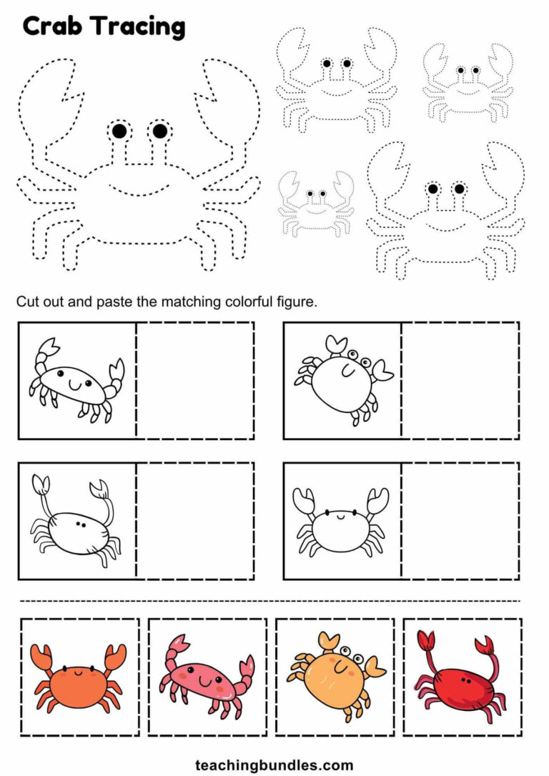 Crab Activity Pages - Teachingbundles
