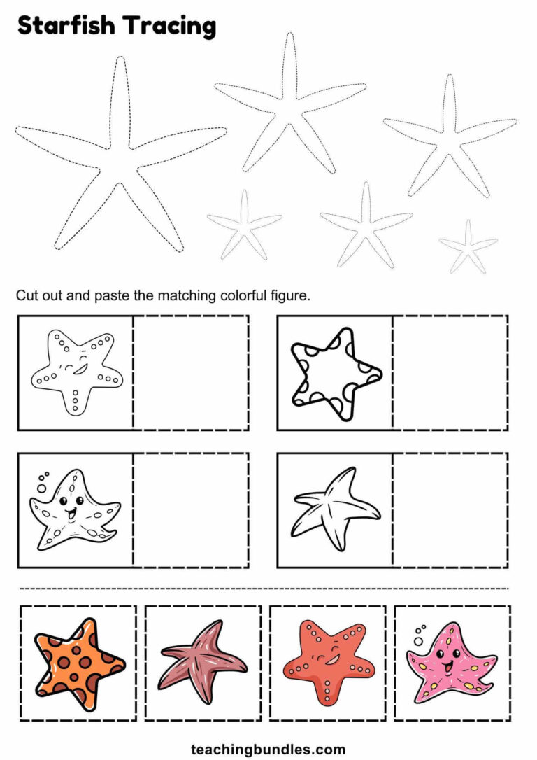 Starfish Activity Pages - Teachingbundles