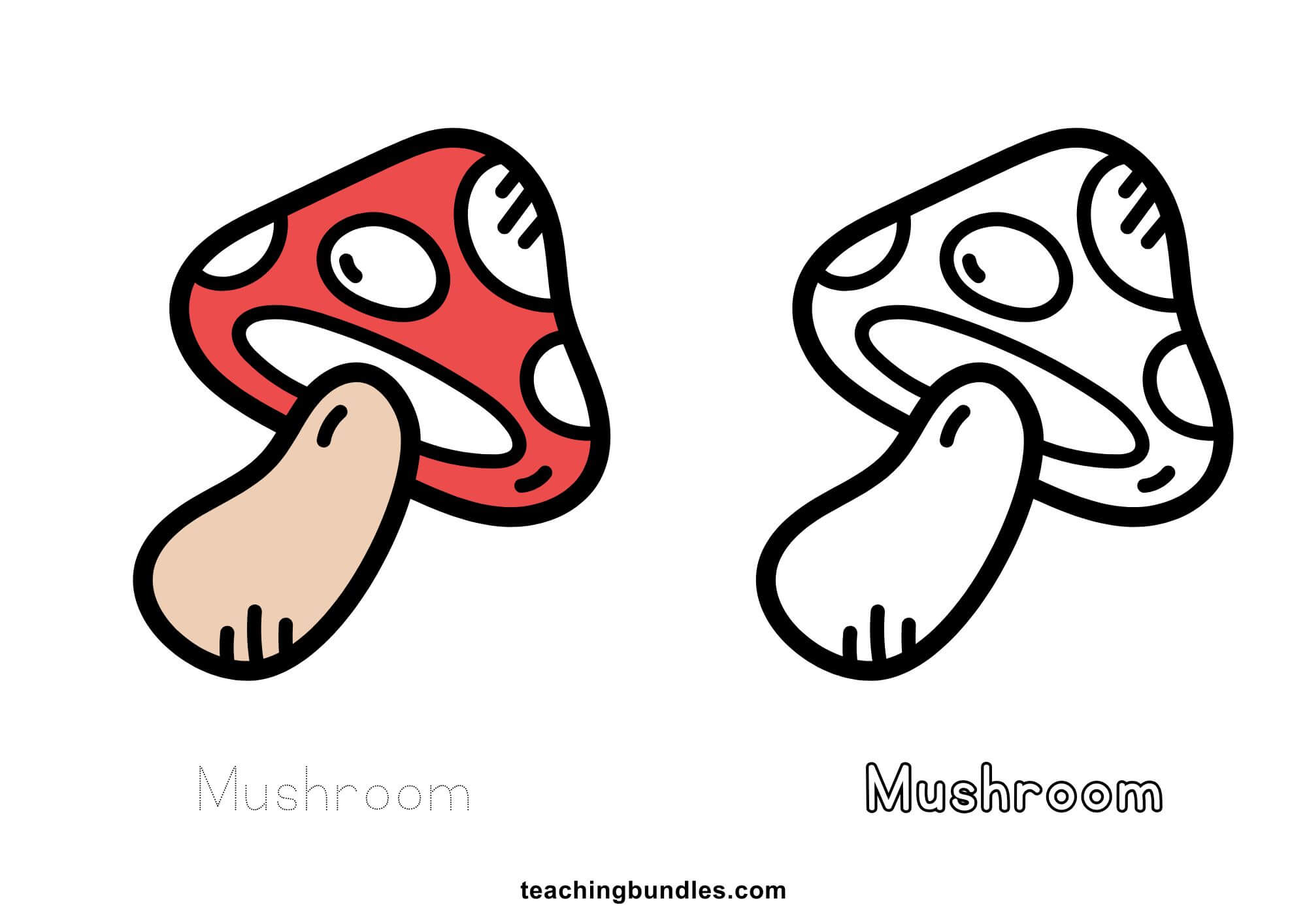 Copy Coloring Booklet - Teachingbundles