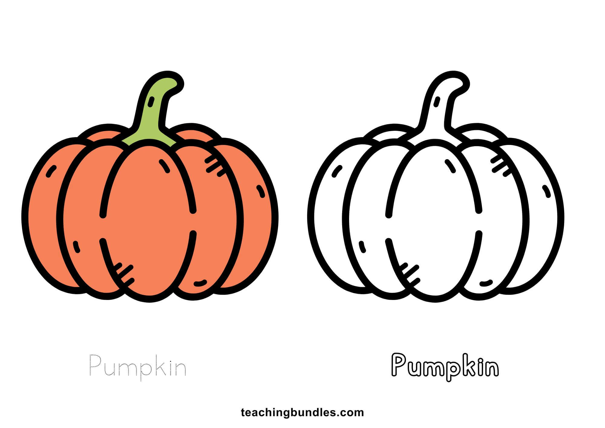Copy Coloring Booklet - Teachingbundles