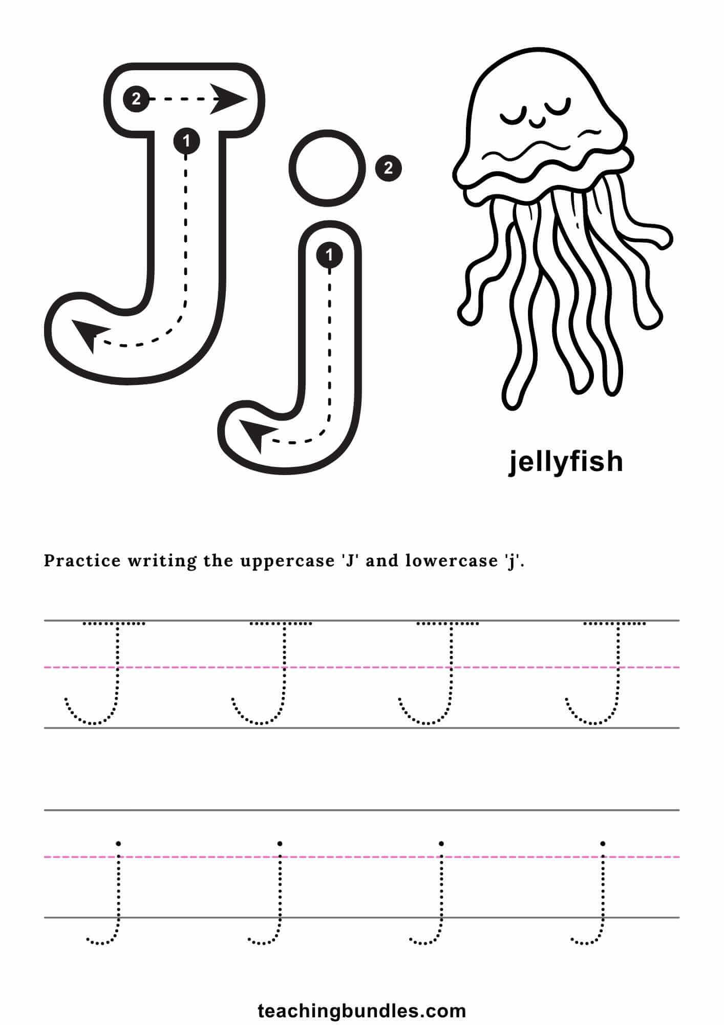 Jellyfish Activity Pages - Teachingbundles