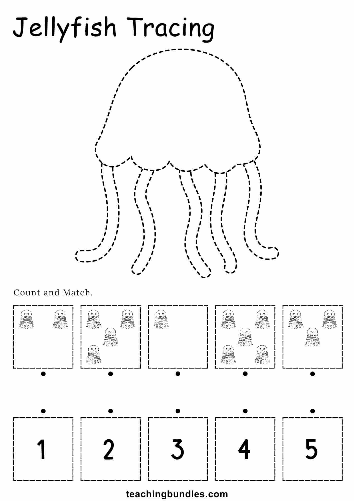 Jellyfish Activity Pages - Teachingbundles