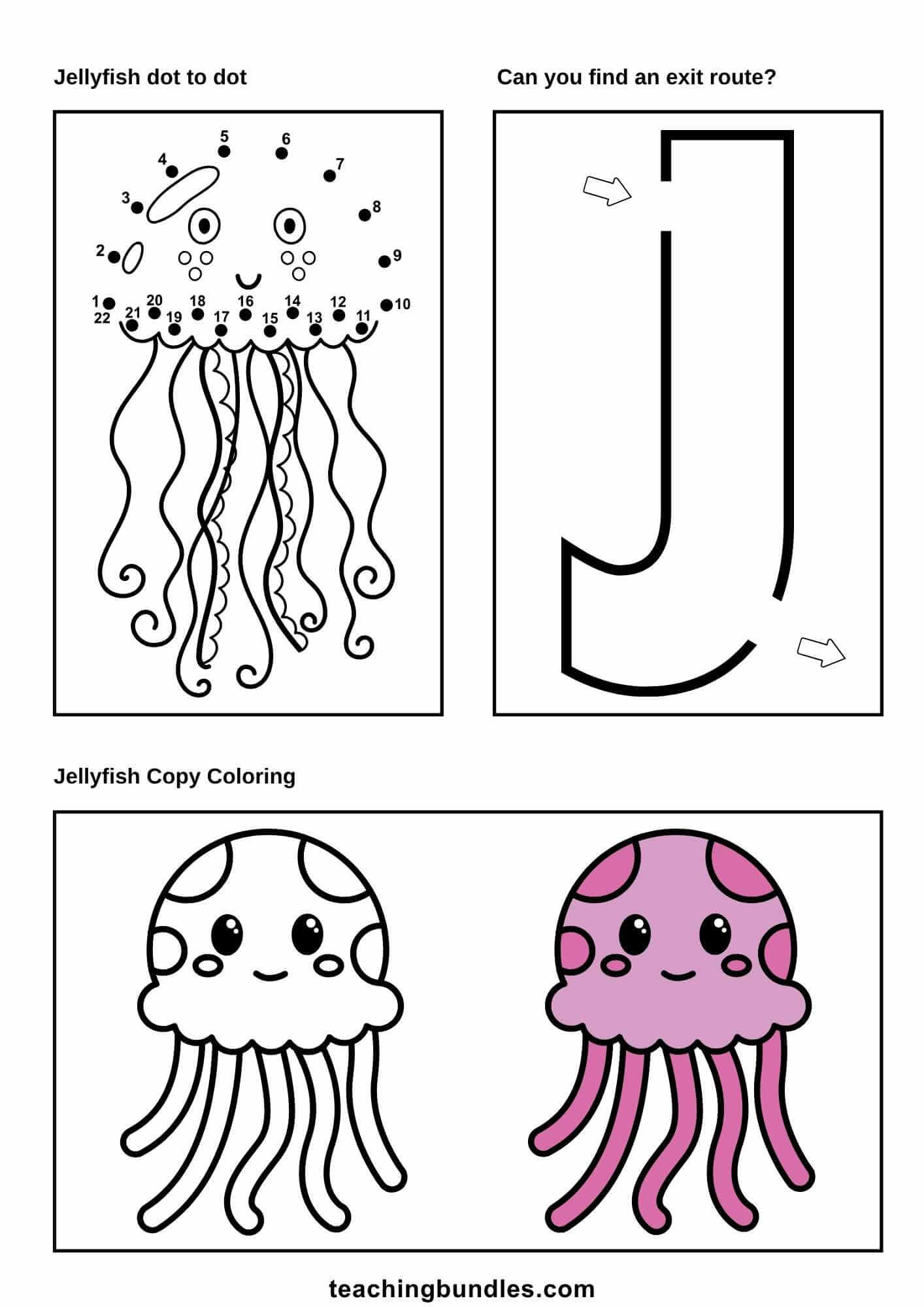 Jellyfish Activity Pages - Teachingbundles