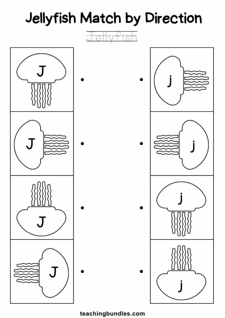 Jellyfish Activity Pages - Teachingbundles