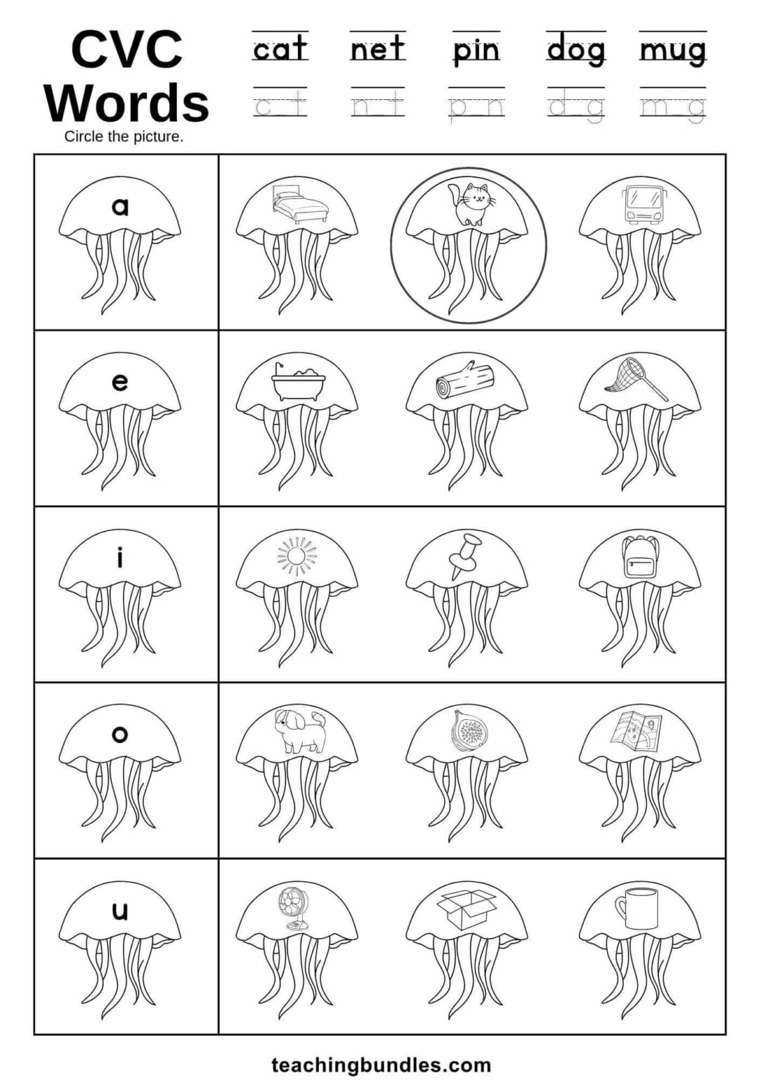 Jellyfish Activity Pages - Teachingbundles