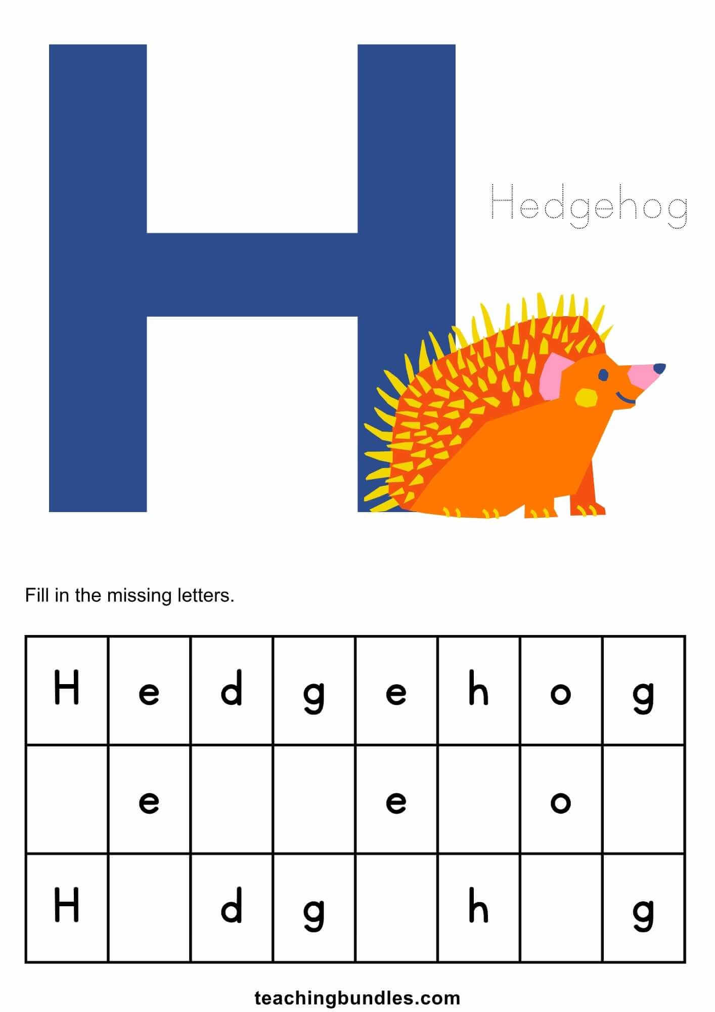 Hedgehog Activity Pages - Teachingbundles