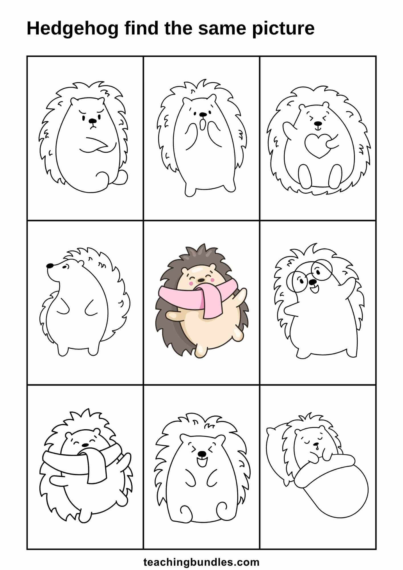 Hedgehog Activity Pages - Teachingbundles
