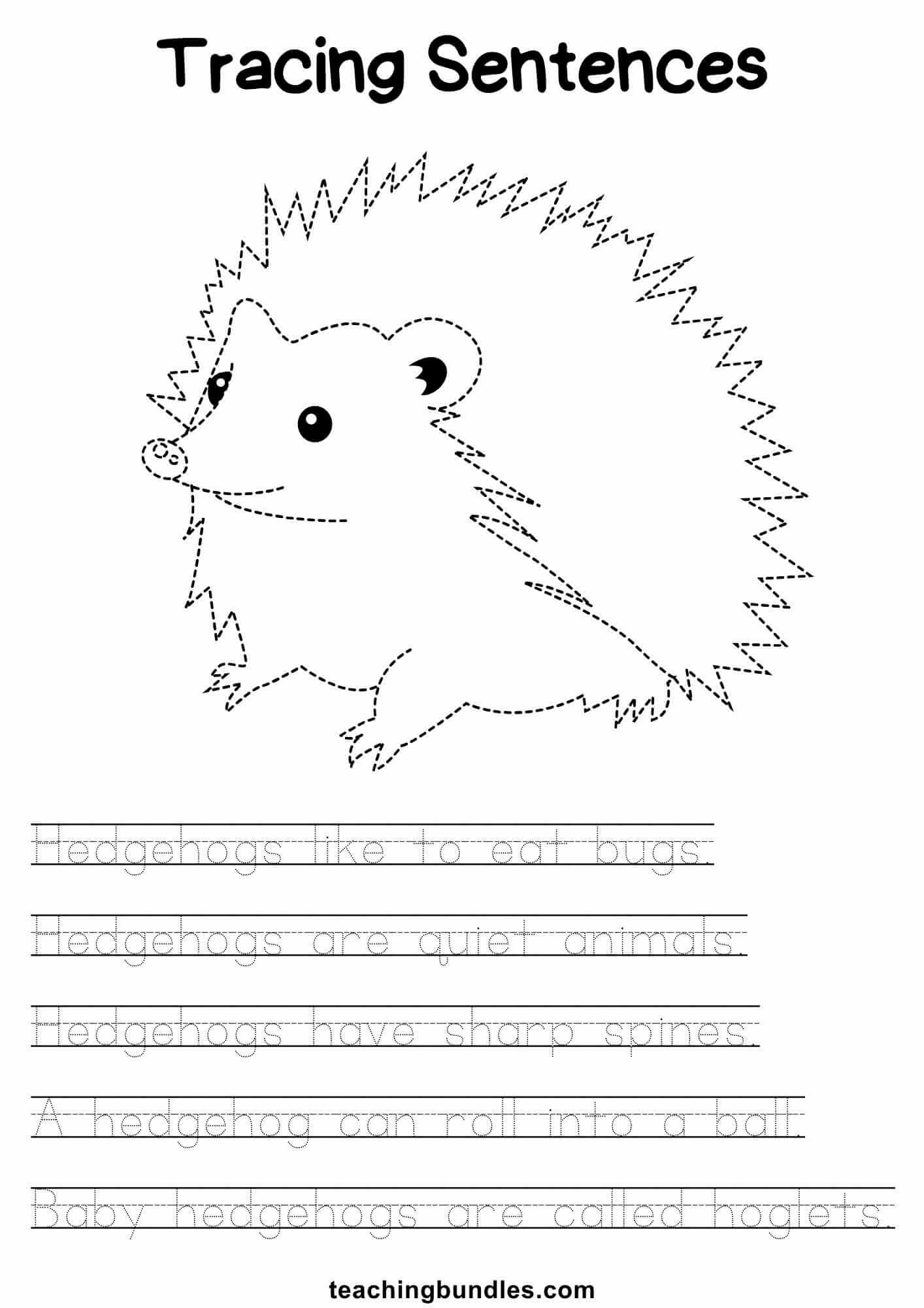Hedgehog Activity Pages - Teachingbundles