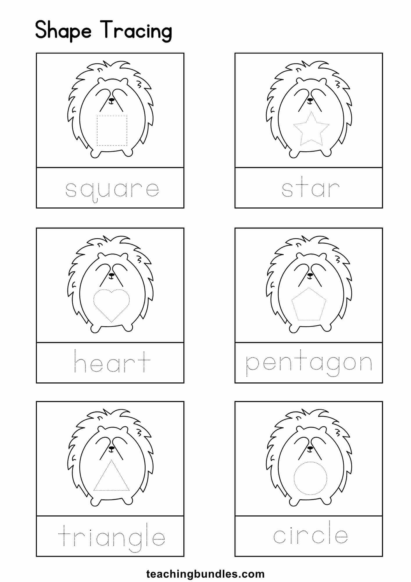 Hedgehog Activity Pages - Teachingbundles