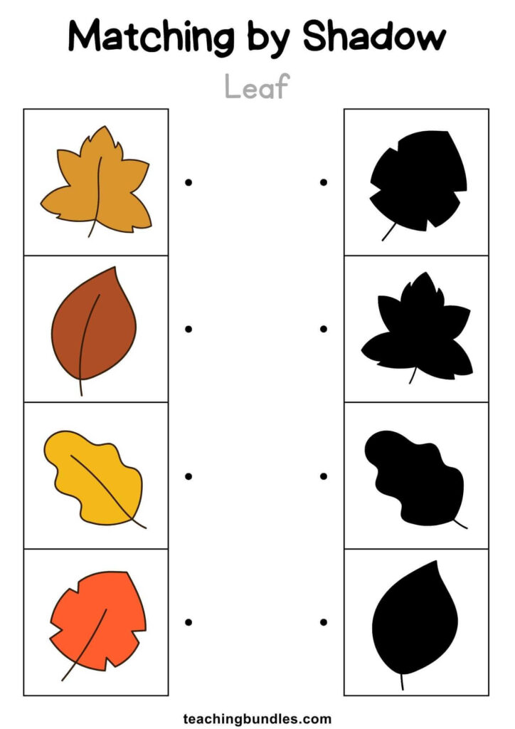 Fall Shadow Matching Worksheets - Teachingbundles
