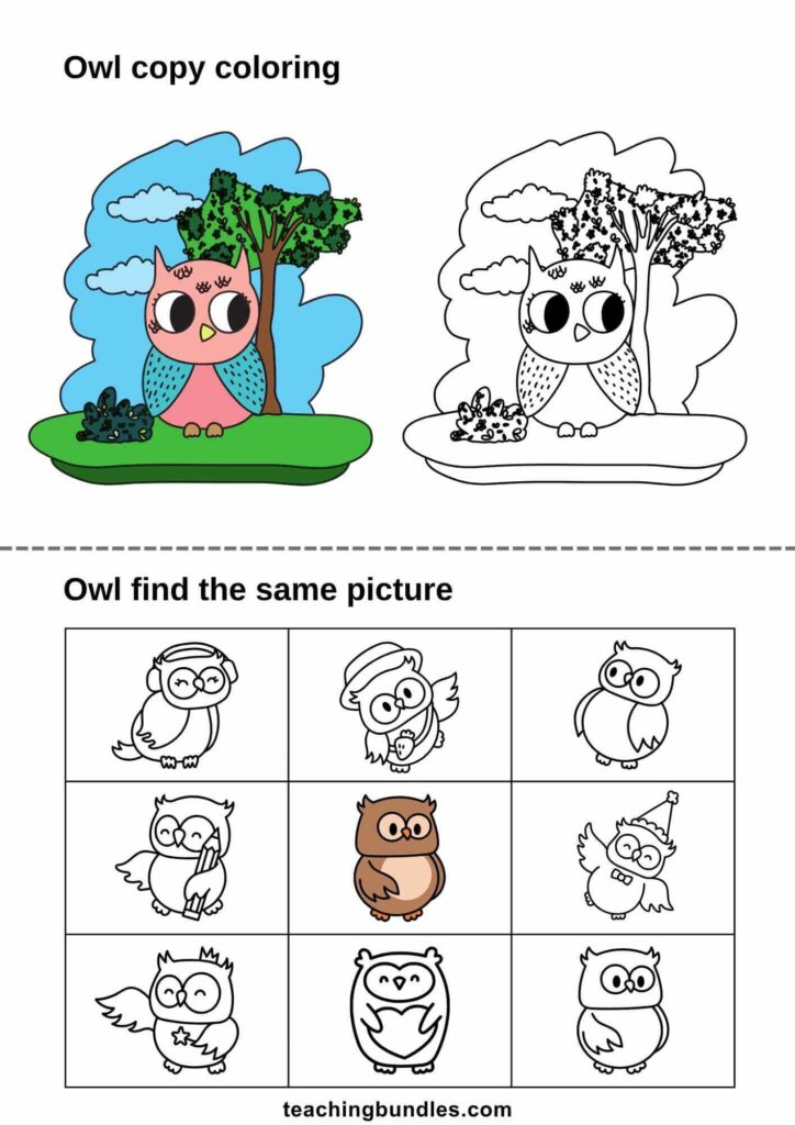 Owl Activity Pages - Teachingbundles