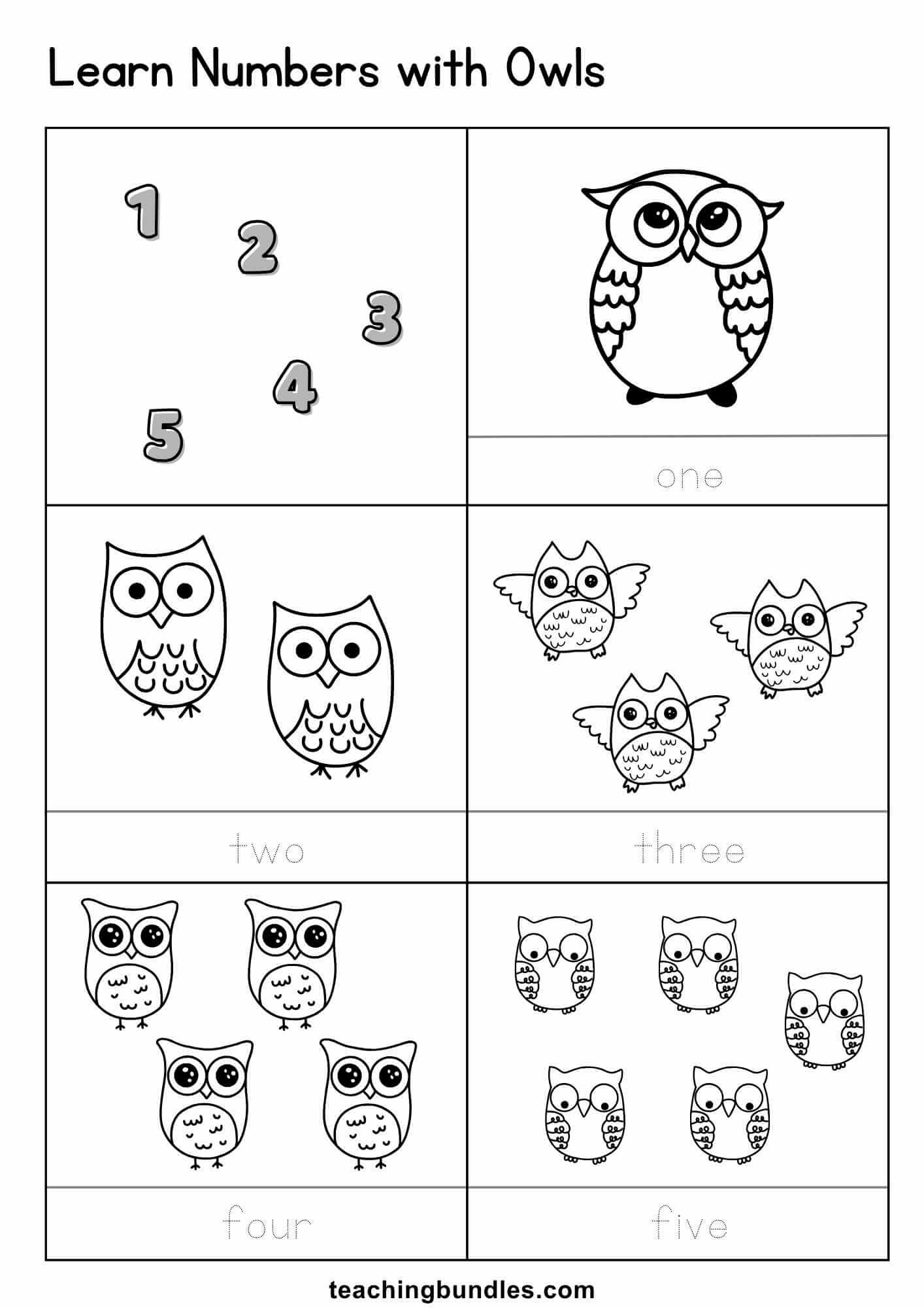 Owl Activity Pages - Teachingbundles