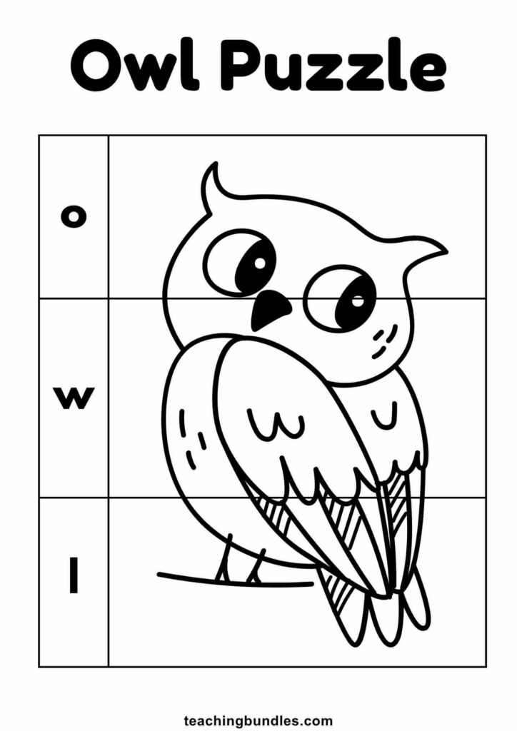 Owl Activity Pages - Teachingbundles