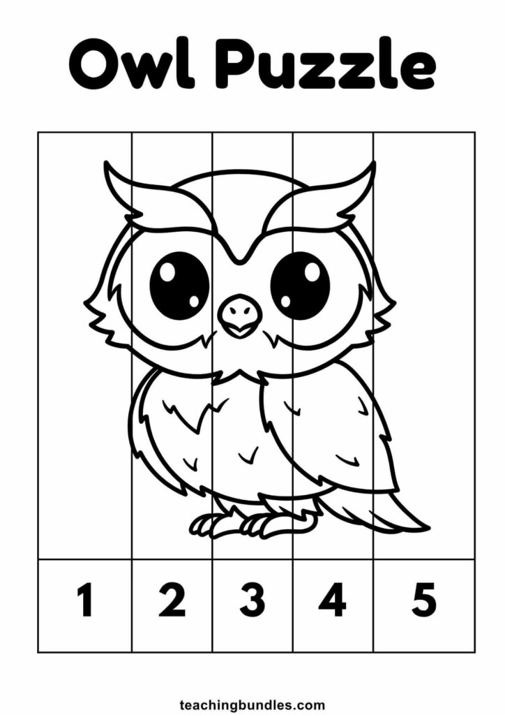 Owl Activity Pages - Teachingbundles