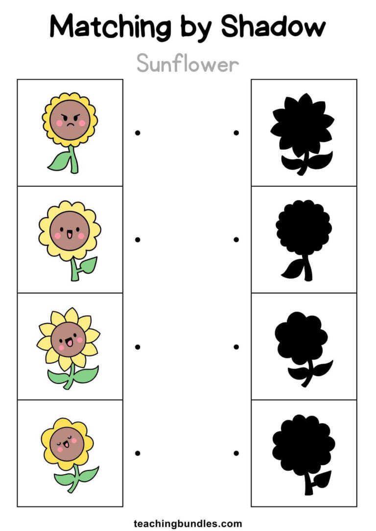 Fall Shadow Matching Worksheets - Teachingbundles