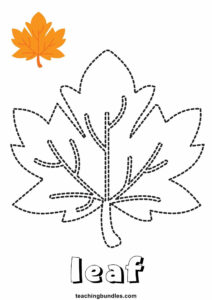 Free Leaf Tracing Worksheets - Teachingbundles