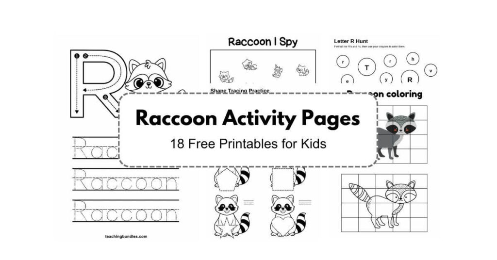 Raccoon Activity Pages - Teachingbundles