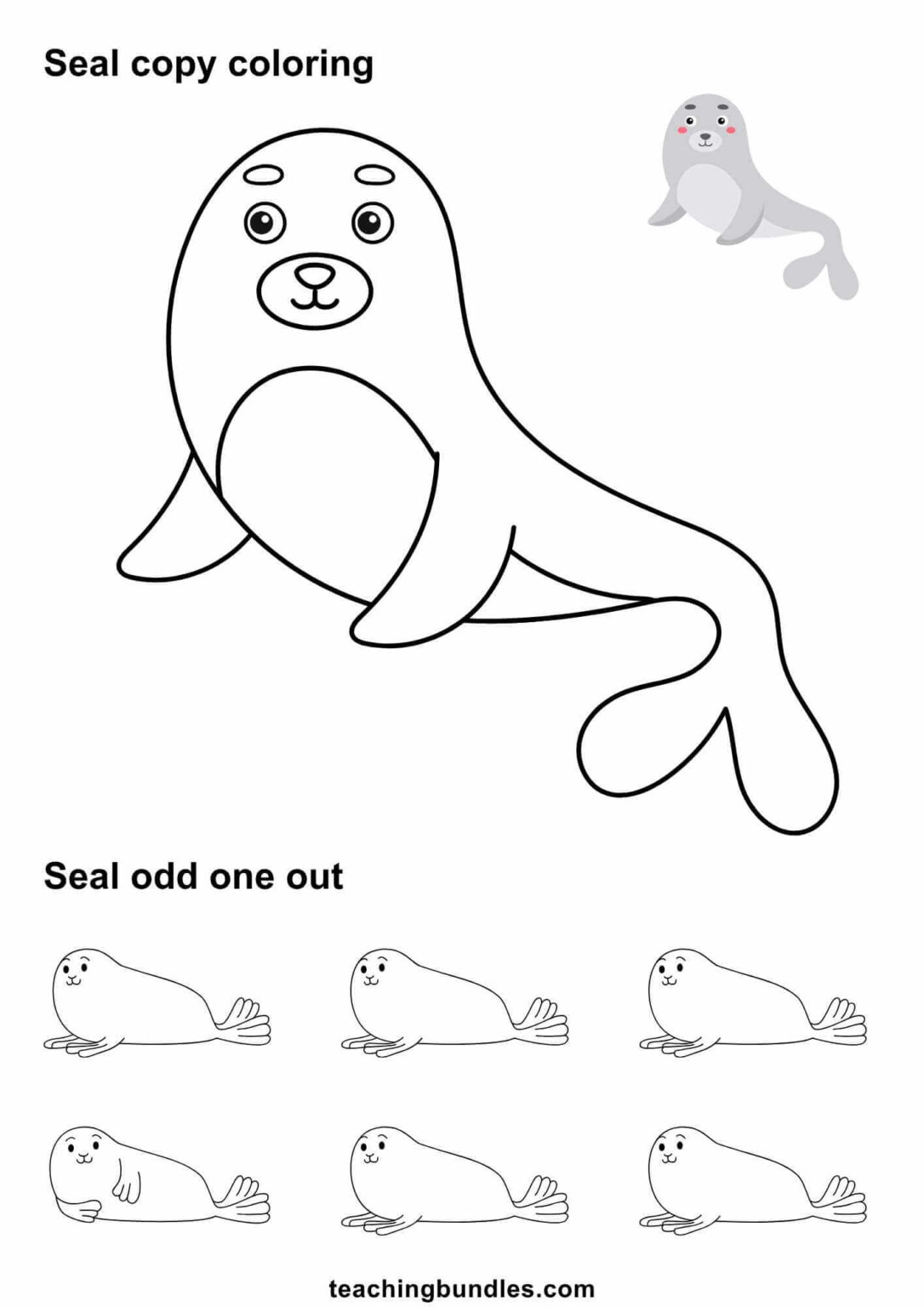 Seal Activity Pages - Teachingbundles
