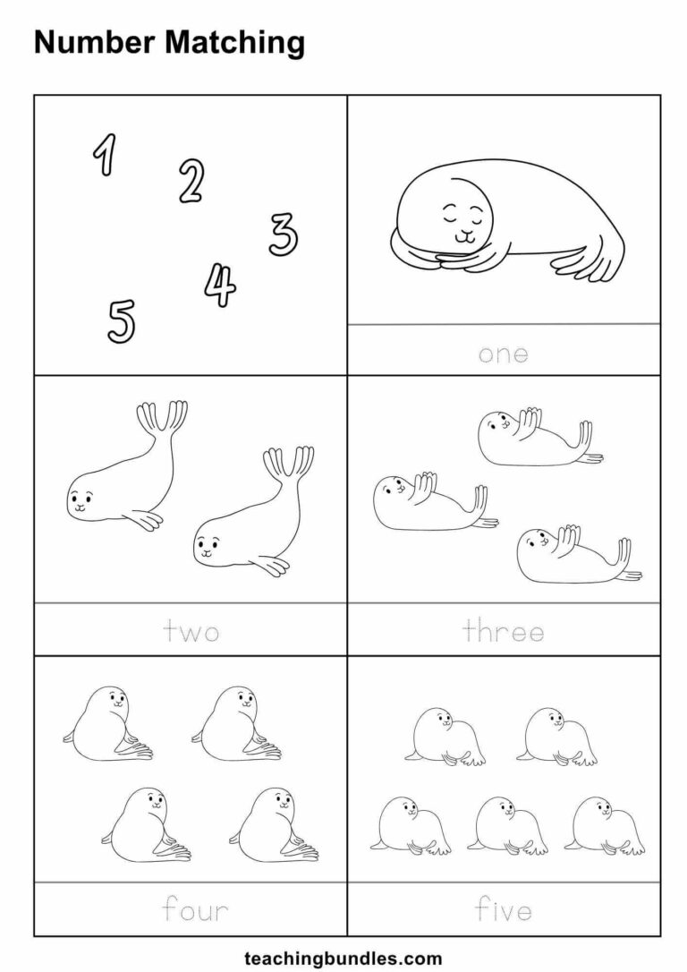 Seal Activity Pages - Teachingbundles