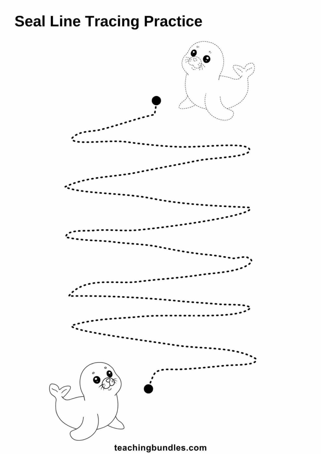 Seal Activity Pages - Teachingbundles