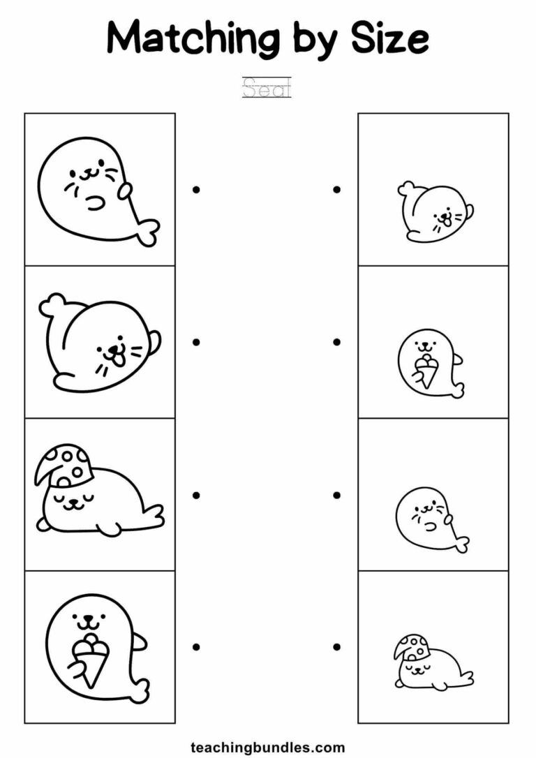 Seal Activity Pages - Teachingbundles