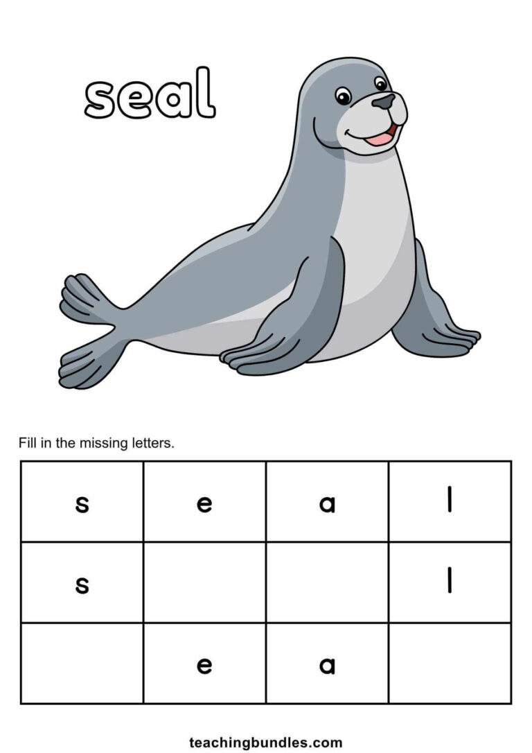 Seal Activity Pages - Teachingbundles