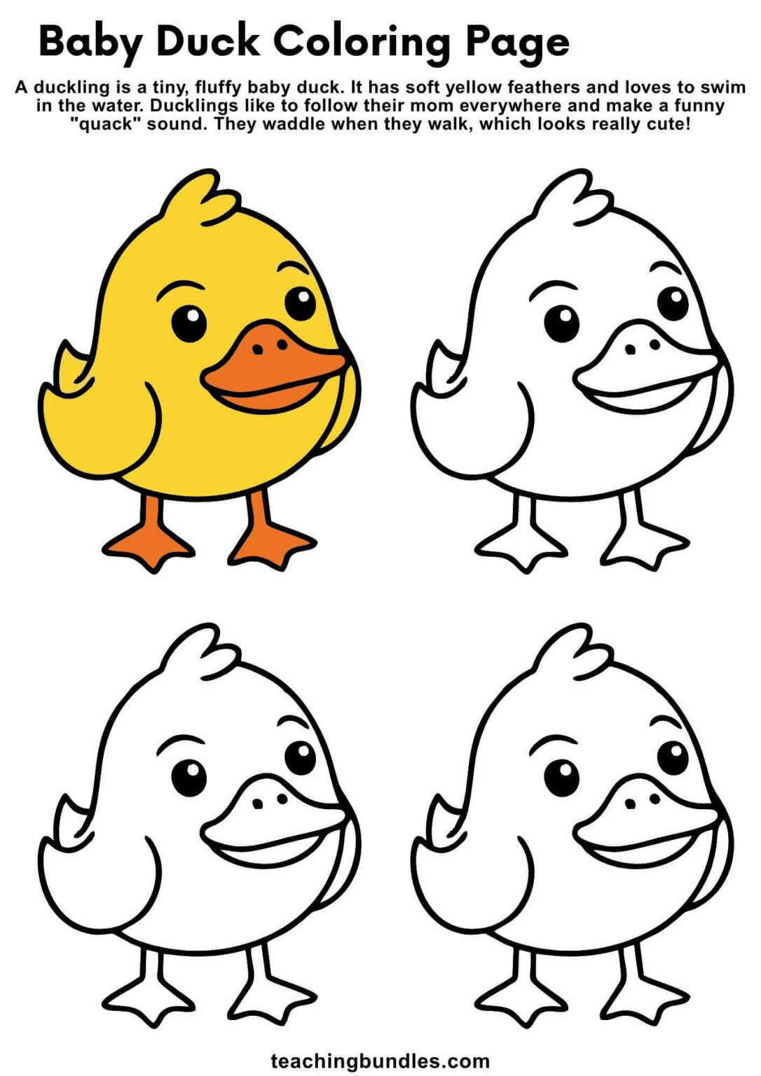 Duck Activity Pages - Teachingbundles