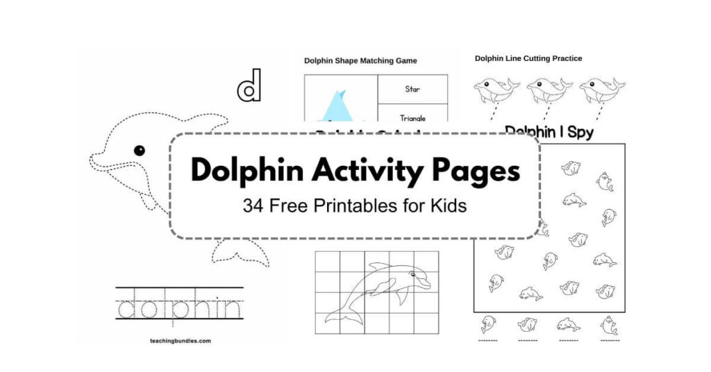 Dolphin Activity Pages - Teachingbundles