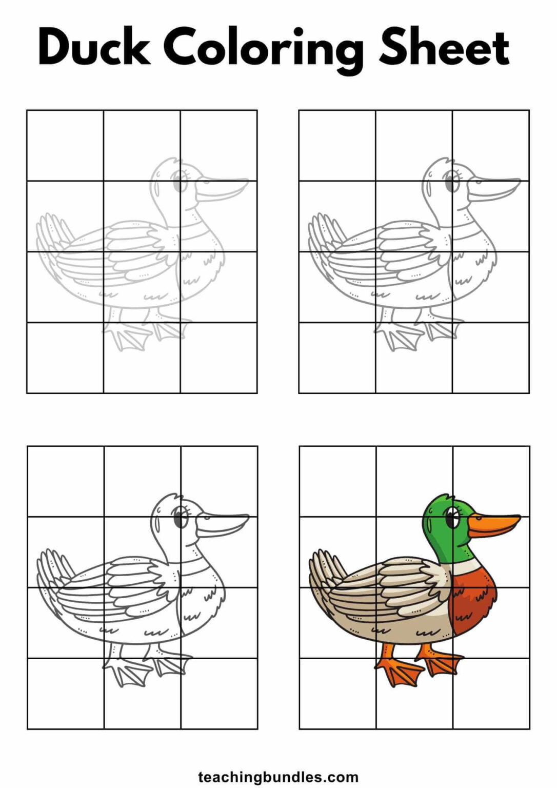 Duck Activity Pages - Teachingbundles