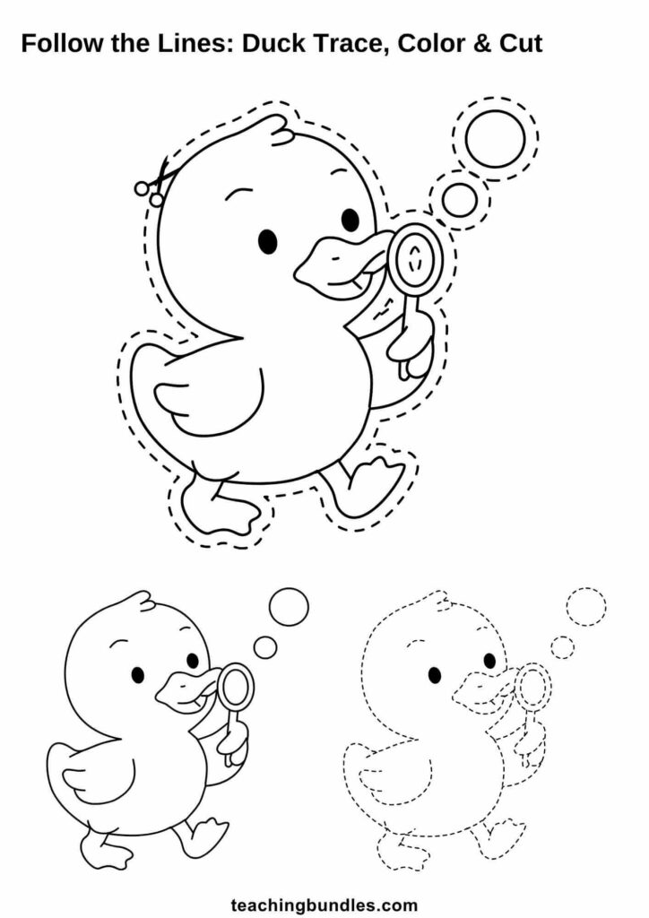 Duck Activity Pages - Teachingbundles