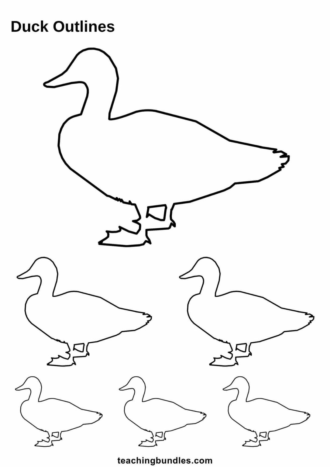 Duck Activity Pages - Teachingbundles