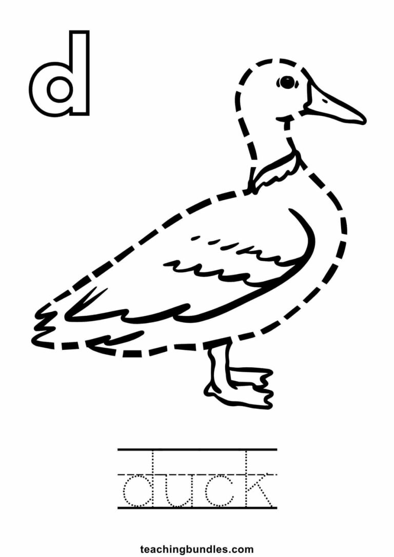 Duck Activity Pages - Teachingbundles