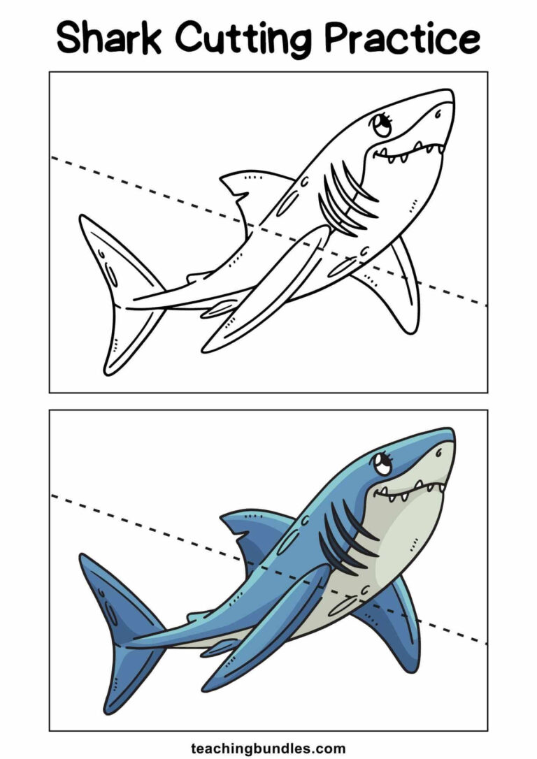 Shark Activity Pages - Teachingbundles