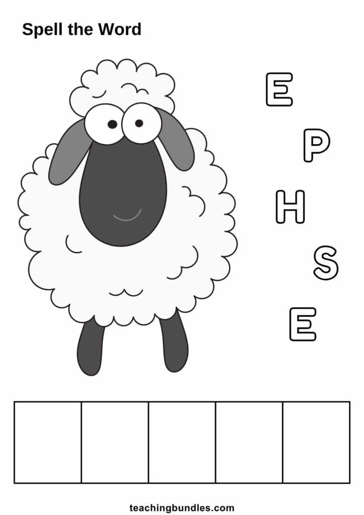 Sheep Activity Pages - Teachingbundles