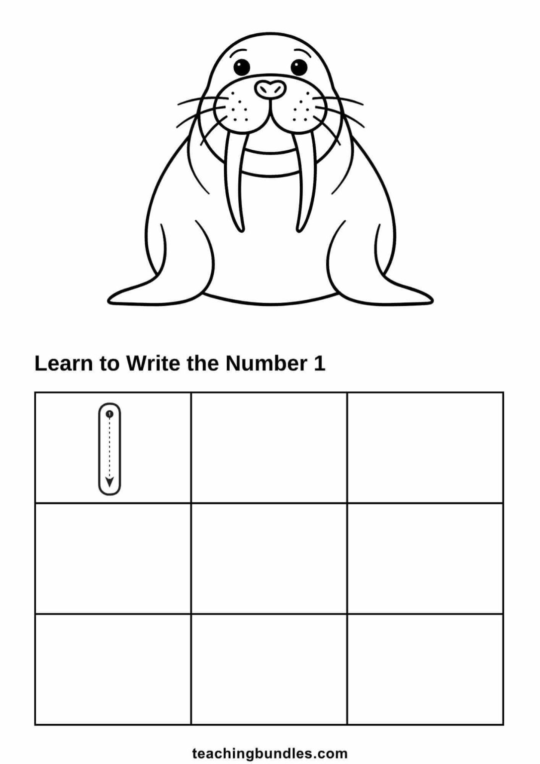 Walrus Activity Pages - Teachingbundles