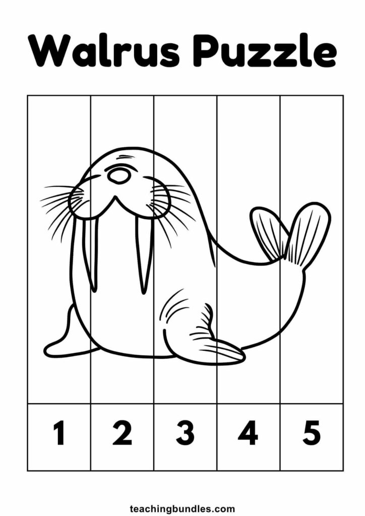 Walrus Activity Pages - Teachingbundles