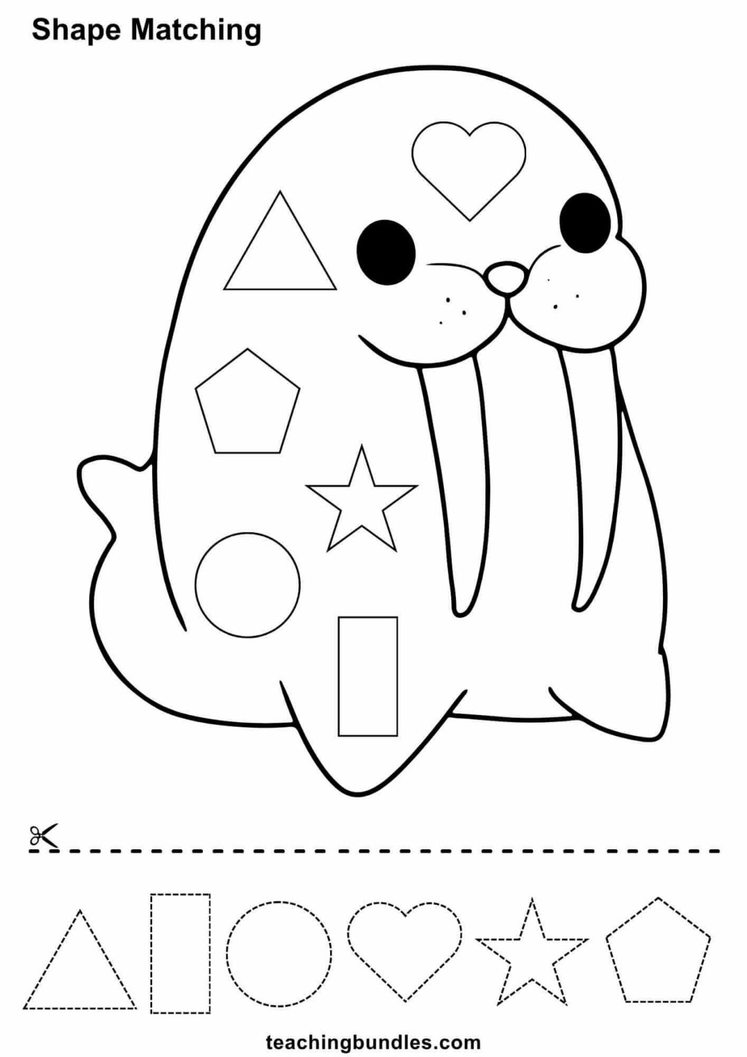 Walrus Activity Pages - Teachingbundles