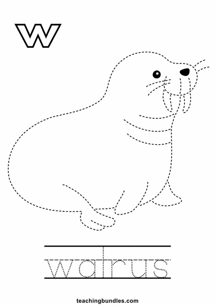 Walrus Activity Pages - Teachingbundles