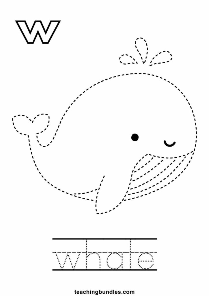 Whale Activity Pages - Teachingbundles