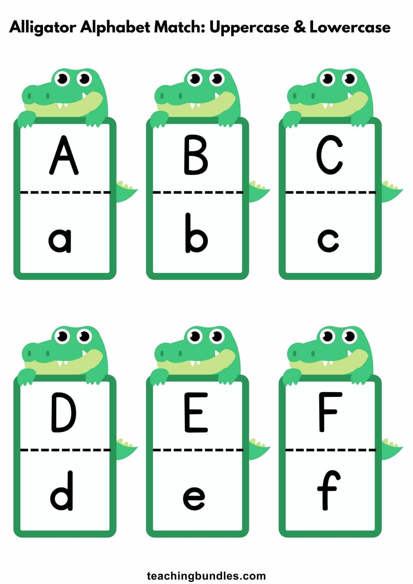 Alligator Activity Pages - Teachingbundles