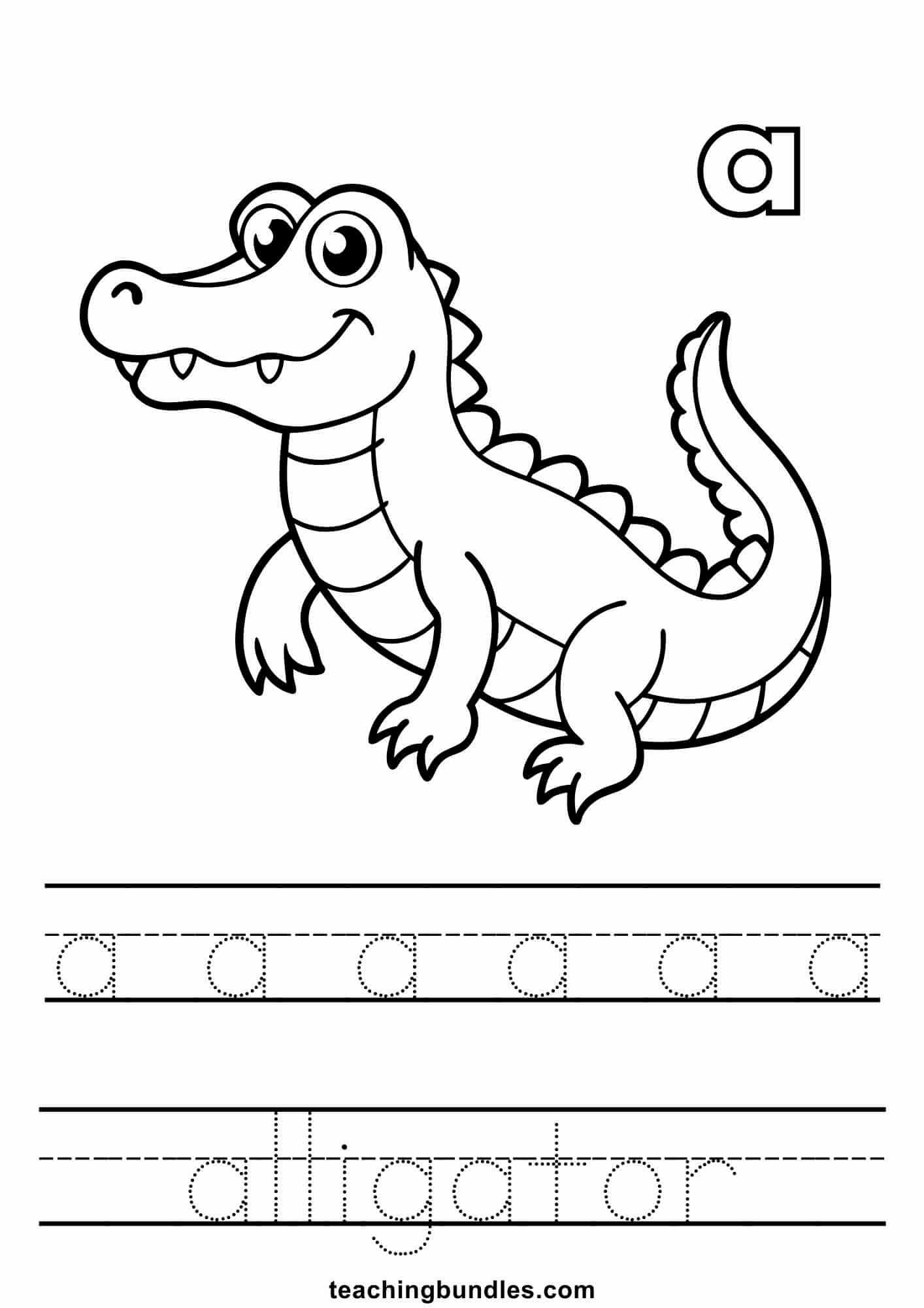 Alligator Activity Pages - Teachingbundles