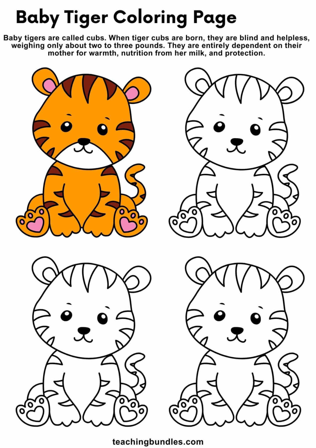 Tiger Activity Pages - Teachingbundles