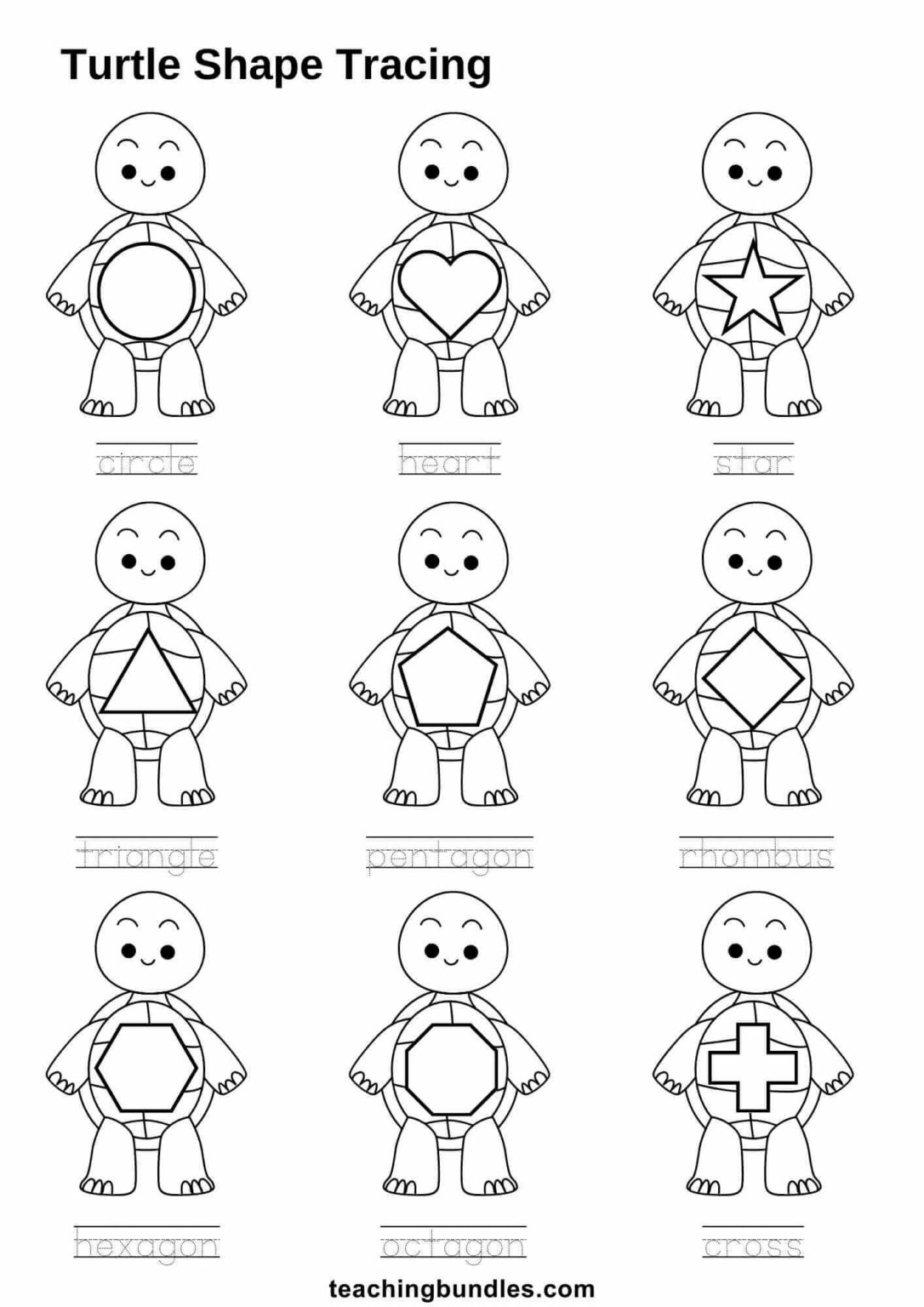Turtle Activity Pages - Teachingbundles