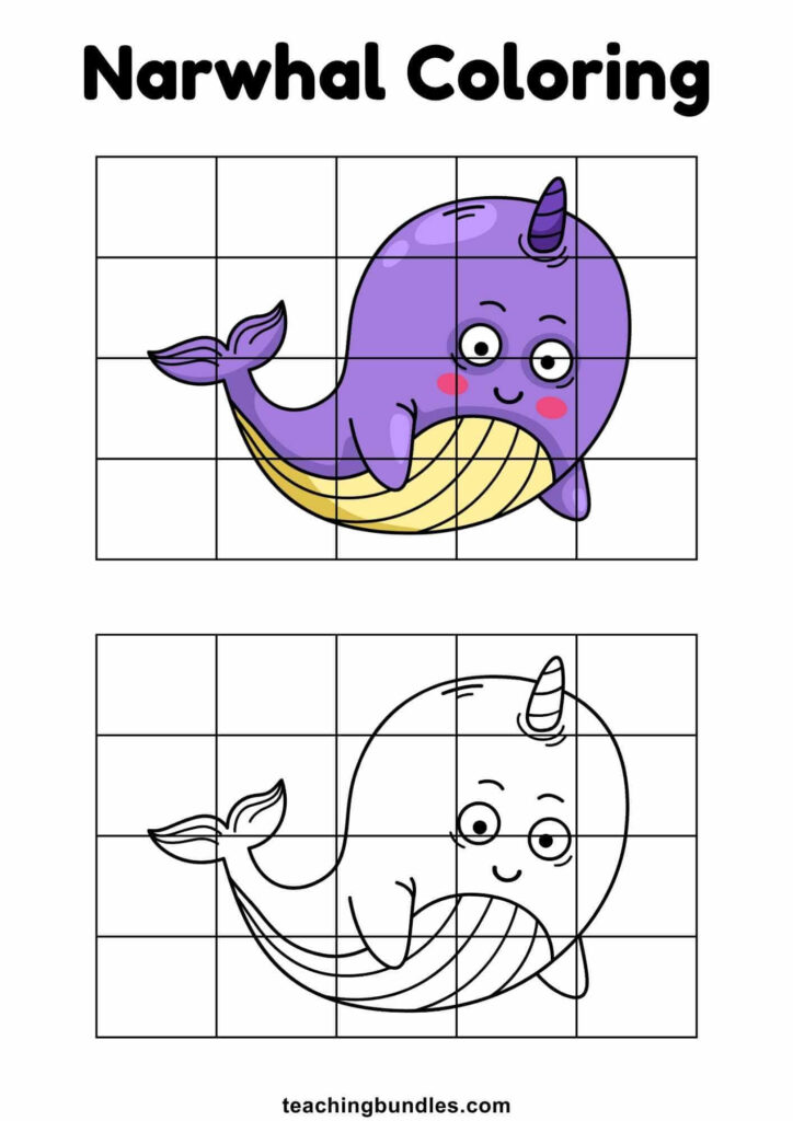 Narwhal Activity Pages - Teachingbundles