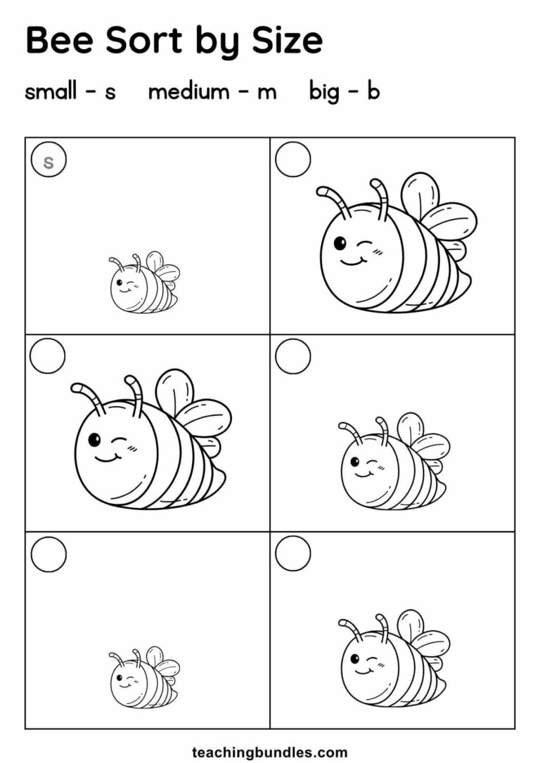 Sort by Size Worksheets - Teachingbundles