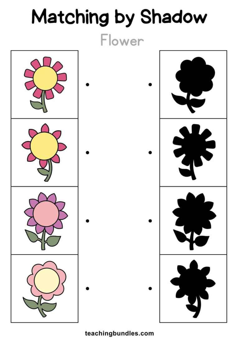 Spring Shadow Matching Worksheets - Teachingbundles