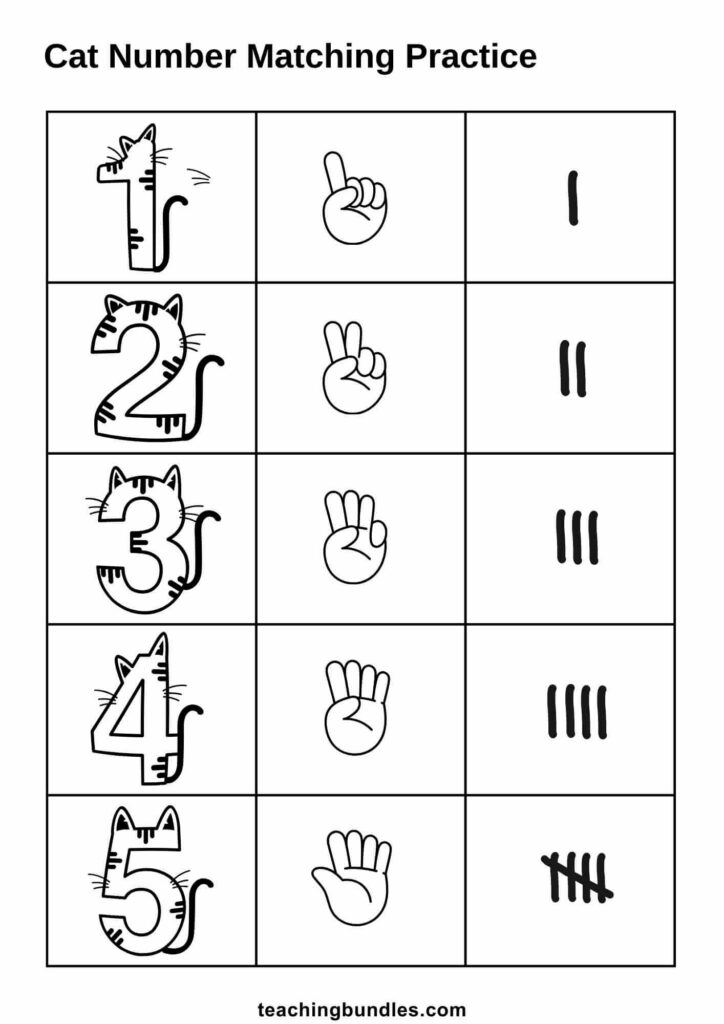 Cat Activity Pages - Teachingbundles