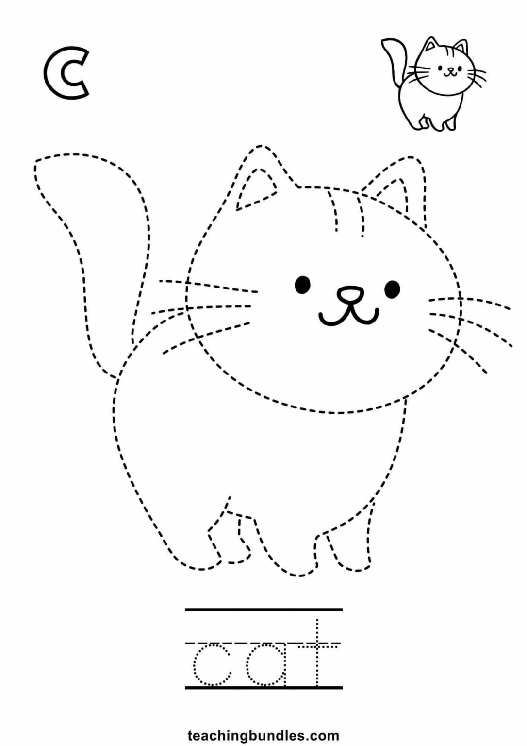 Cat Activity Pages - Teachingbundles